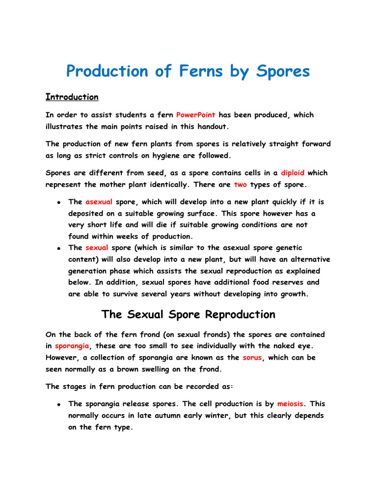 How to Grow Ferns from Spores | PDF | Spore | Sexual Reproduction