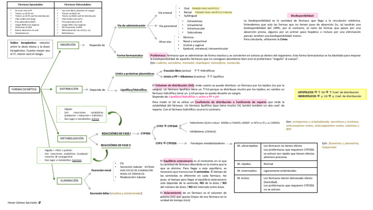 Esquema Final Farmacocinética | PDF | Biodisponibilidad | Medicamentos con receta
