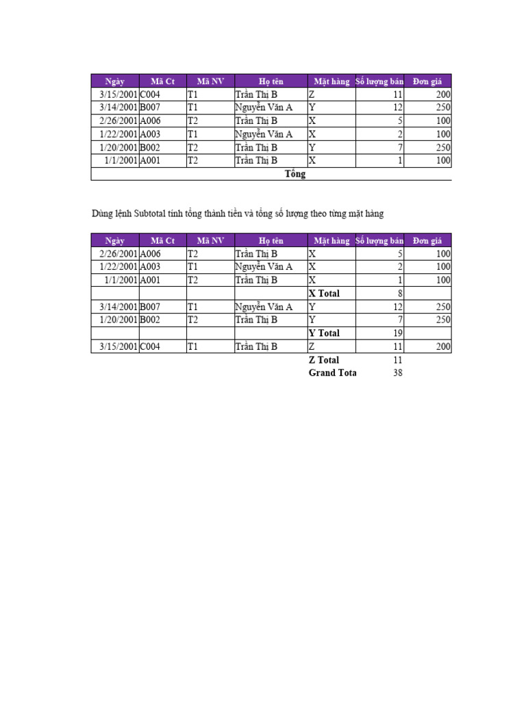 Subtotal Tú Anh | PDF