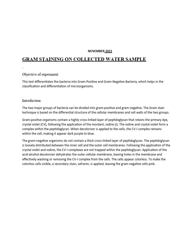Gram Staining | PDF | Staining | Gram Positive Bacteria