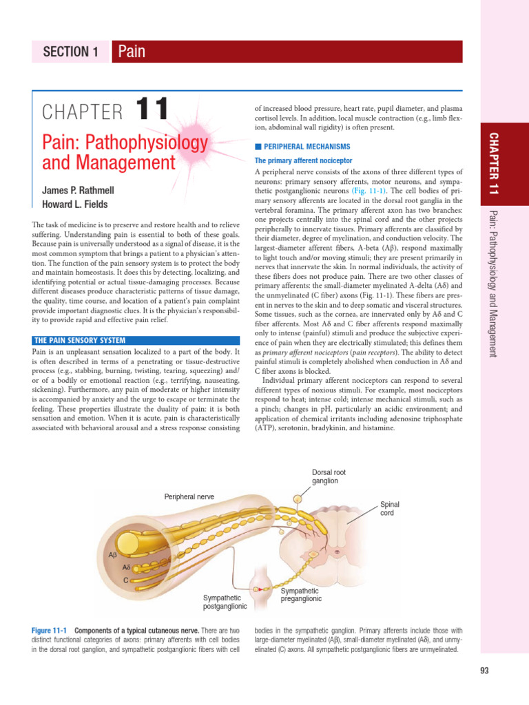 Harrison18ed Dhimbja | PDF | Pain | Analgesic
