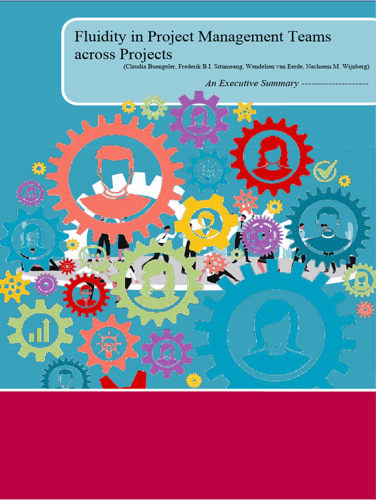 Fluidity in Project Management Teams Across Projects: An Executive ...