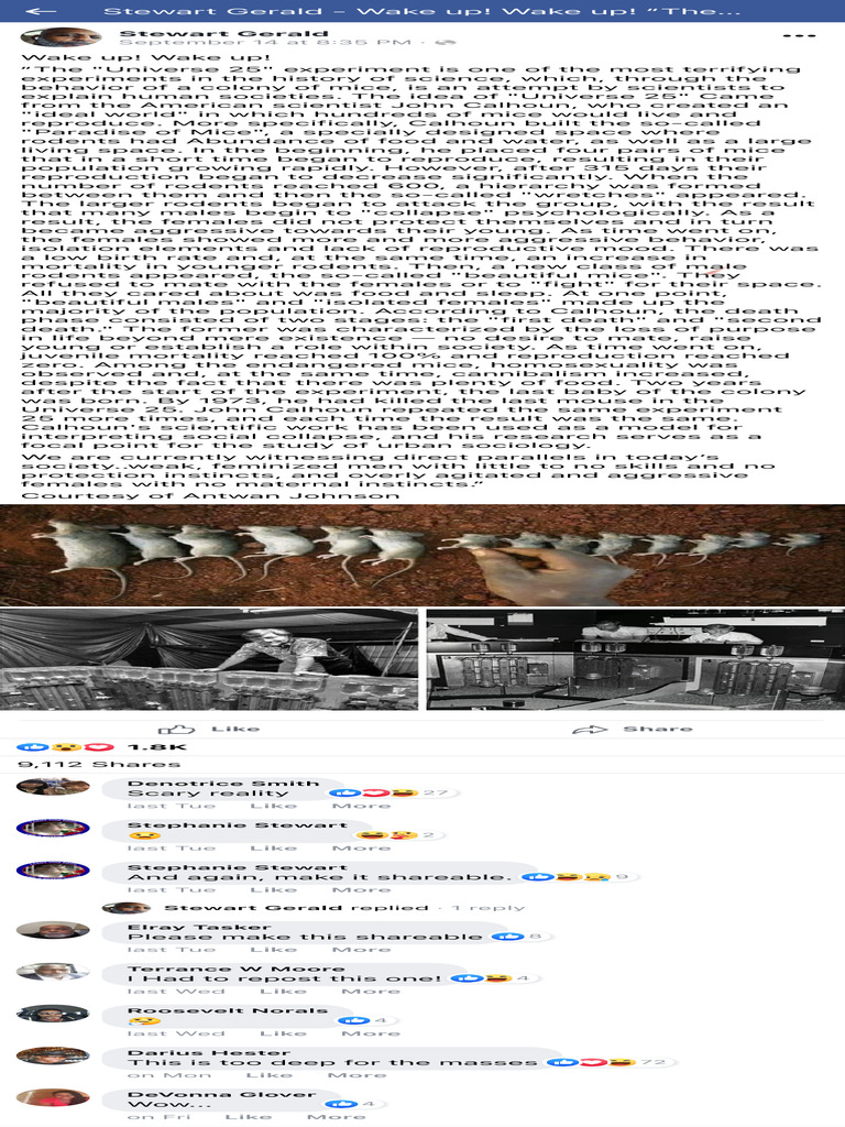 Stewart Gerald - Wake Up! Wake Up! "The Universe 25 Experiment ...