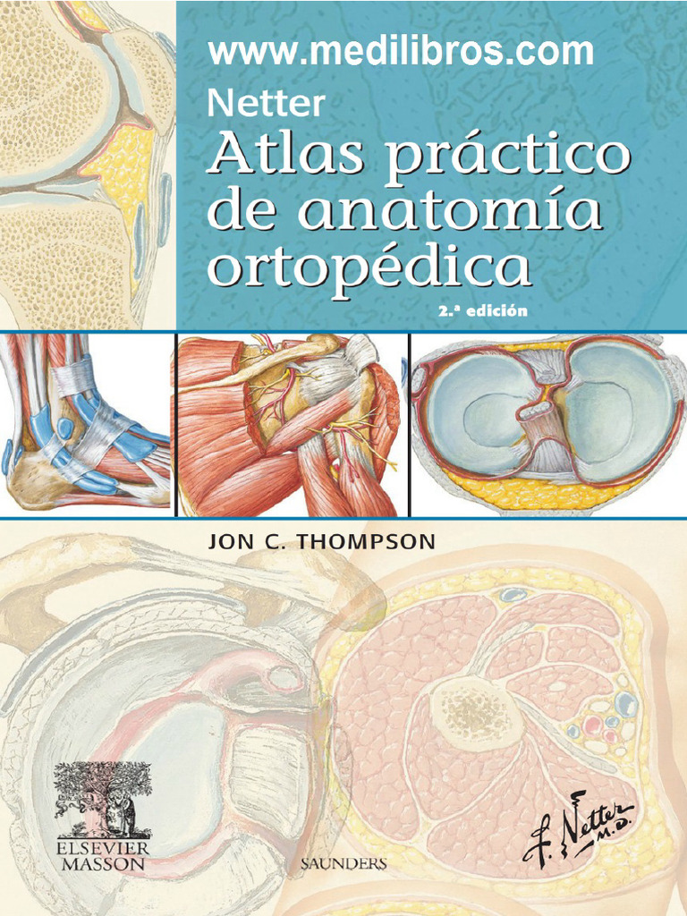 Netter Atlas Practico de Anatomia Ortopedica 2da Edicion | PDF Netter Atlas Practico de Anatomia Ortopedica 2da Edicion | PDF