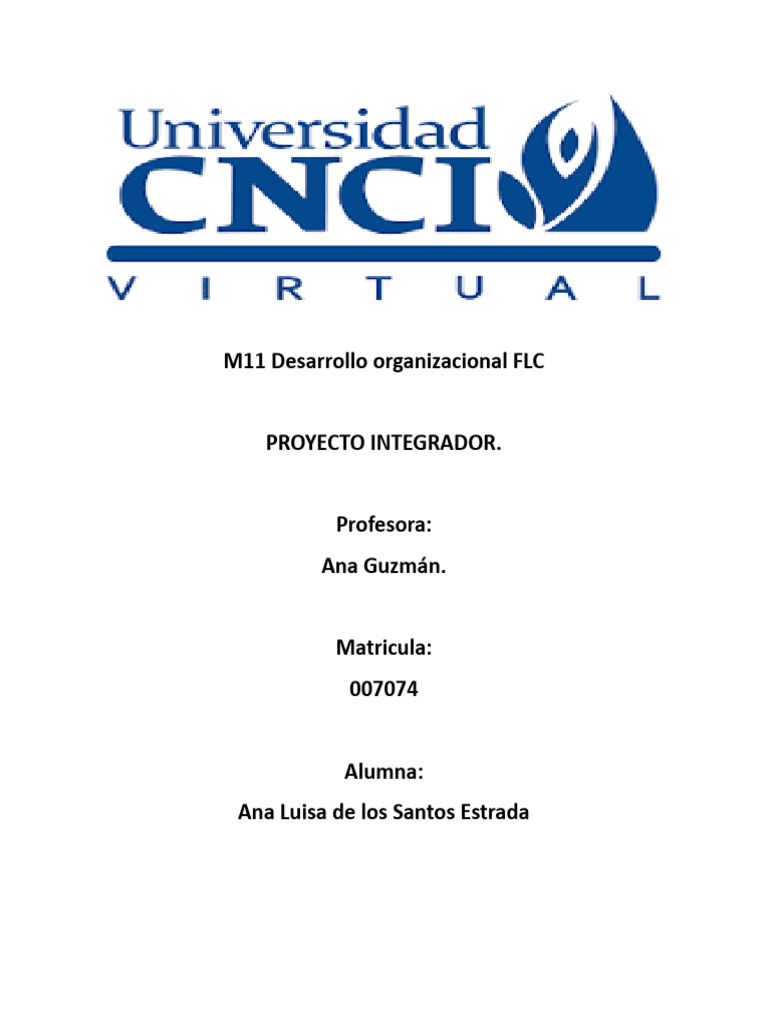 Desarrollo Organizacional - PROYECTO INTEGRADOR | PDF