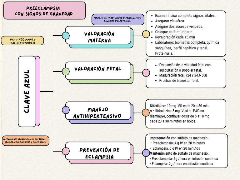 Clave Azul Obstetrica | PDF | Medicina CLINICA | Especialidades Medicas