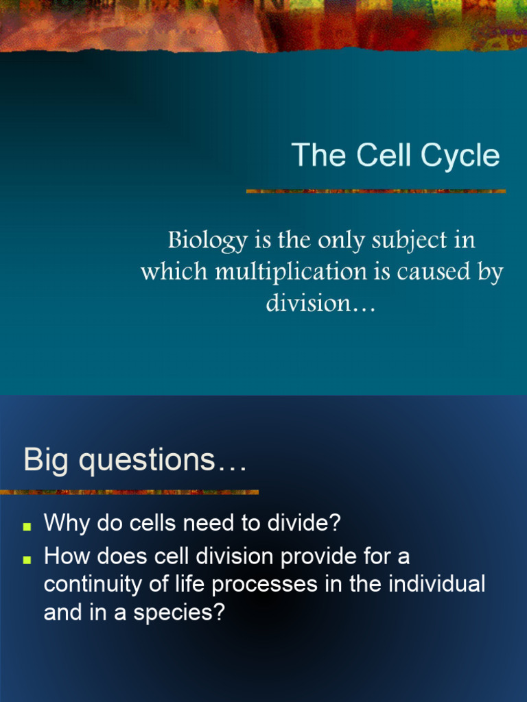 The Cell Cycle | PDF | Mitosis | Cell Cycle