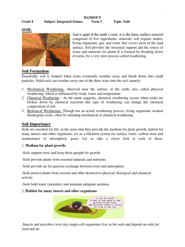 Grade 8 Integrated Science - Week 2 | PDF