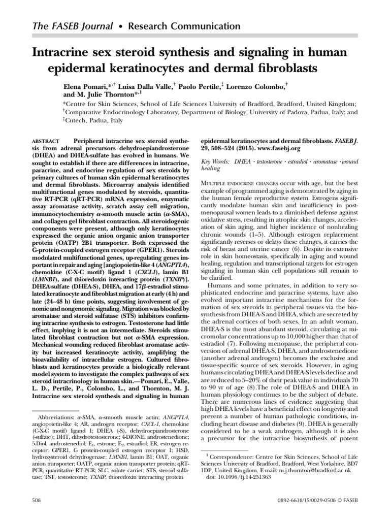 Intracrine Sex Steroid Synthesis and Signaling in Human | PDF ...