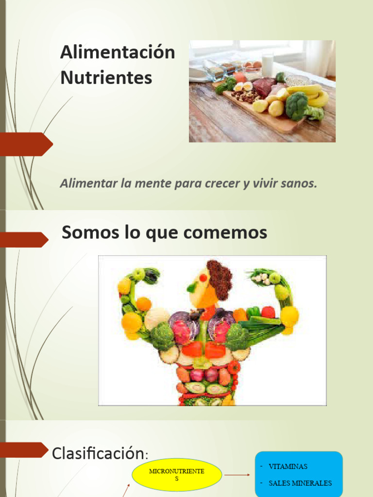 Alimentación Nutrientes | PDF | Nutrientes | Alimentos