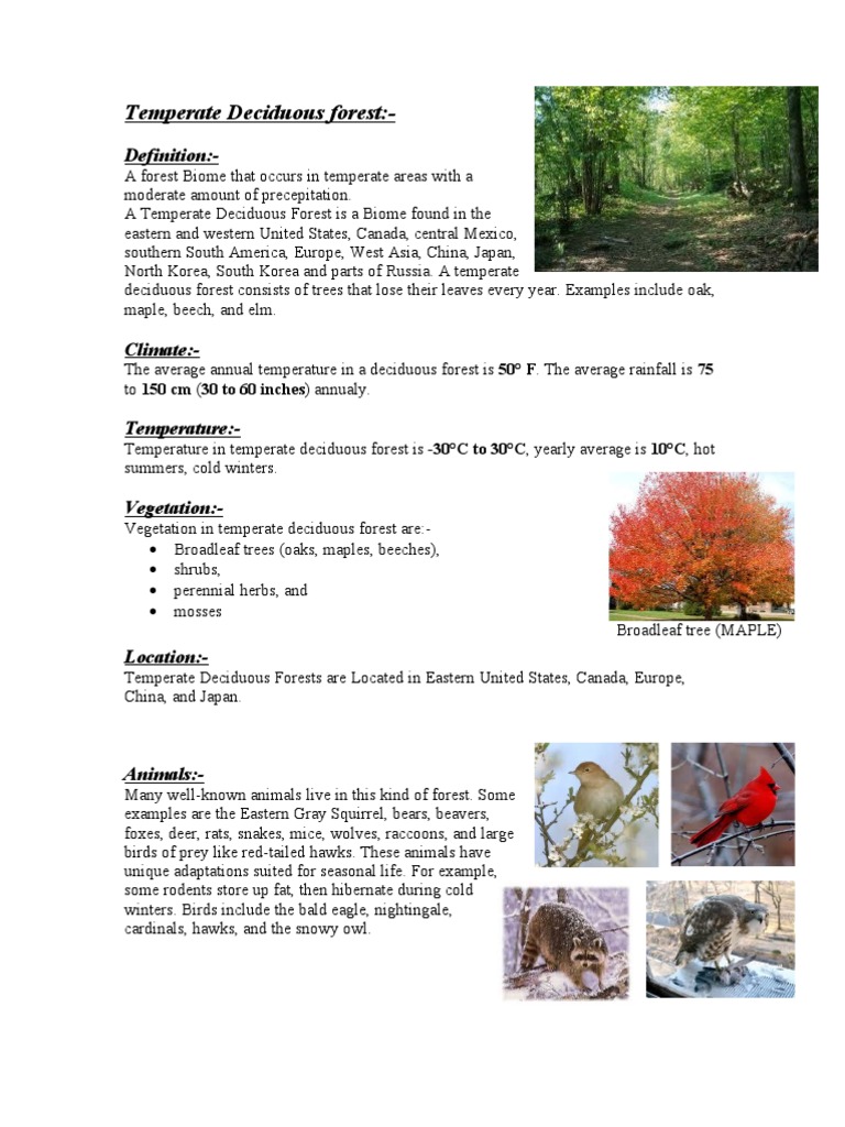 Geography Assignment | PDF | Grassland | Forests