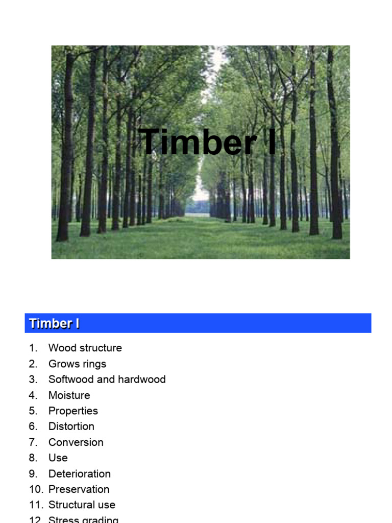 Lecture 4 - Timber 1 | PDF