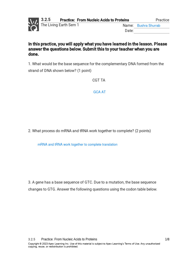 3.2.5 Practice - From Nucleic Acids To Proteins (Practice) | PDF | Point Mutation | Mutation
