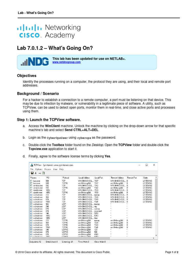 7.0.1.2 Lab Whats Going On | PDF | World Wide Web | Internet & Web