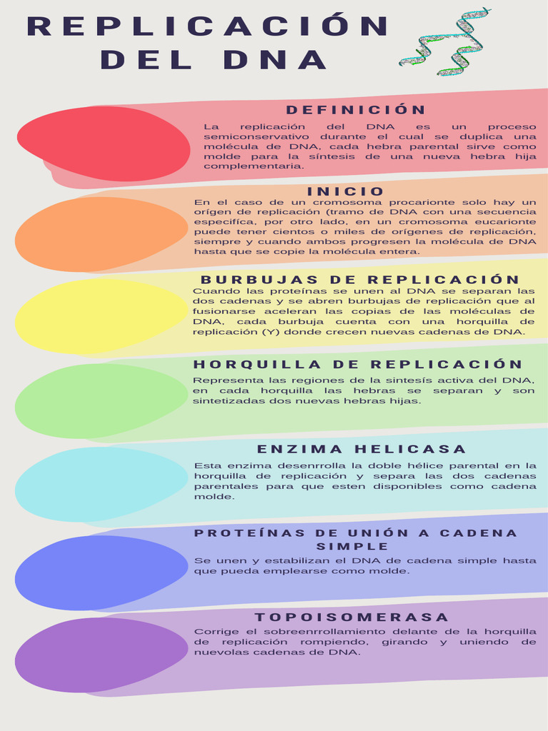 Replicacion Del Dna | Descargar gratis PDF | Replicación De Adn | Adn