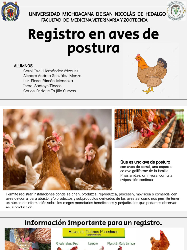 Registro en Aves de Postura. Sección 6 | PDF | Huevo como alimento | Aves
