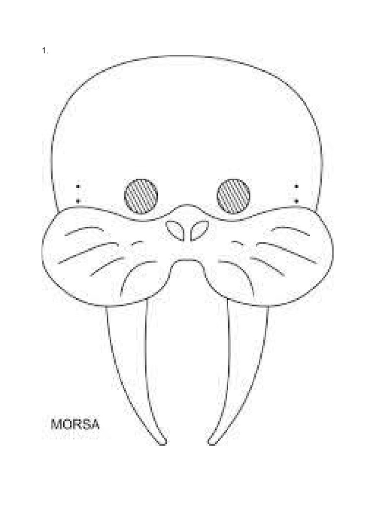 Características e Información de La Morsa | PDF | Pinnípedo | Mamíferos