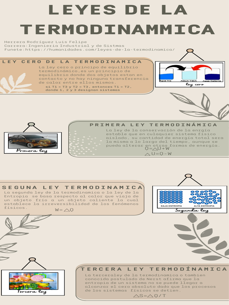 Leyes de La Termodinamica | PDF