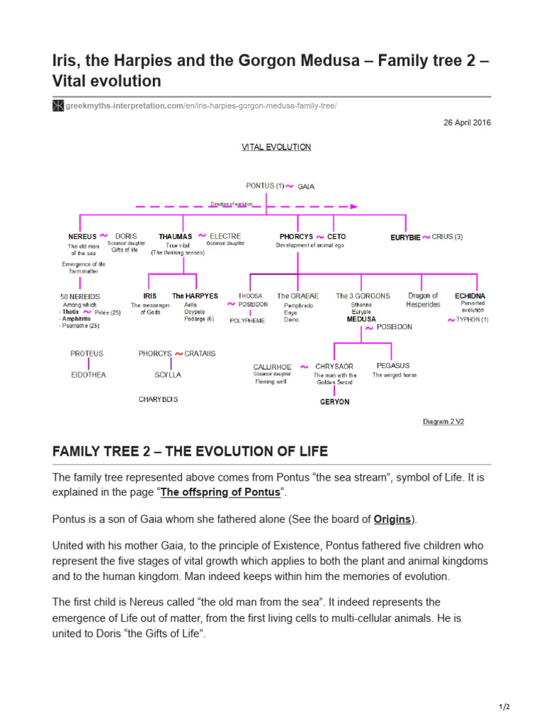 Iris The Harpies and The Gorgon Medusa Family Tree 2 Vital Evolution ... Iris The Harpies and The Gorgon Medusa Family Tree 2 Vital Evolution ...