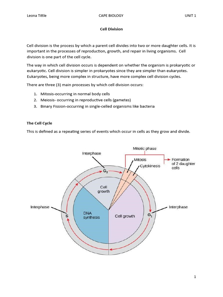 Cell Division | PDF | Meiosis | Mitosis