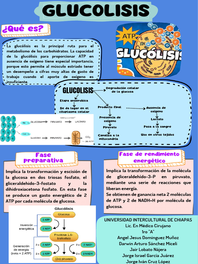 La Glucólisis y Gluconeogenesis INFOGRAFIA | PDF | Glucólisis ...