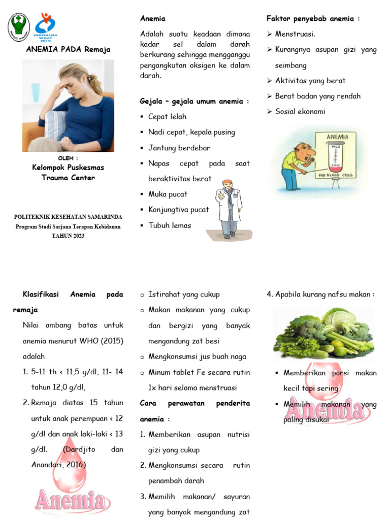 Leaflet Anemia | PDF