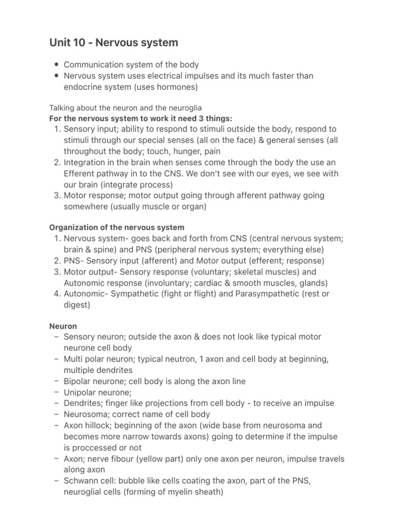 Unit 10 - Nervous System | Download Free PDF | Cerebrospinal Fluid ...