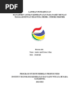 LP Stroke Infark | PDF | Kesehatan Holistik | Sains & Matematika