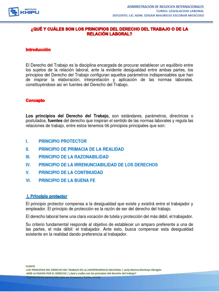 PRINCIPIOS DEL DERECHO LABORAL | PDF | Derecho laboral | Justicia