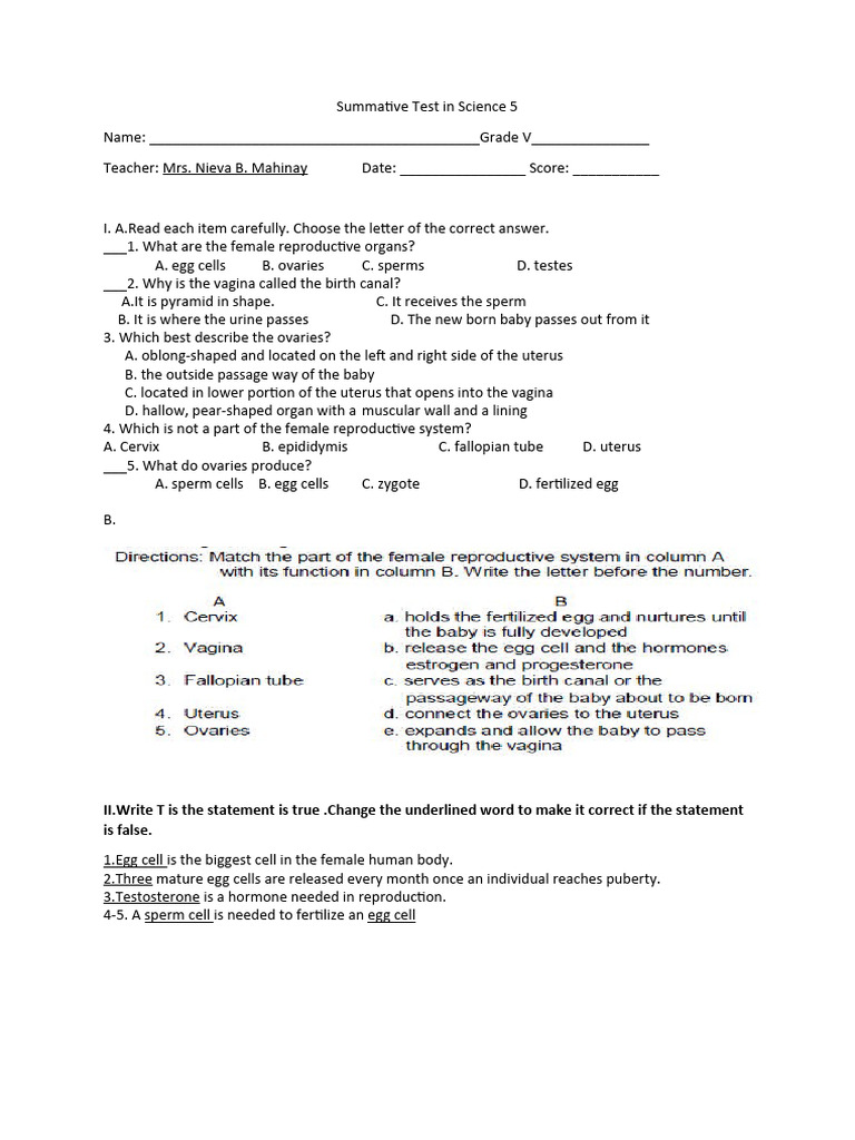 Summative Test 1 in Science 5 2nd Quarter | PDF | Reproductive System ...