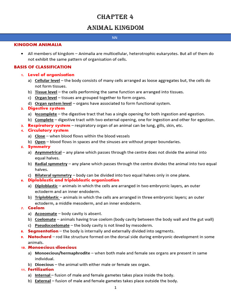 Classification of Animal Kingdom | PDF | Anatomy | Zoology