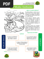 Lectura Del Medio Ambiente | PDF | Contaminación | Entorno natural