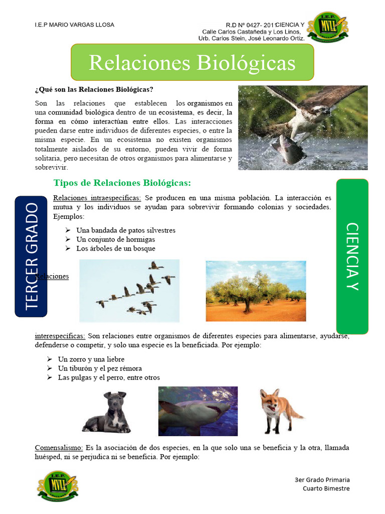 Relaciones Biológicas en Ecosistemas | PDF | Interacciones biológicas ...