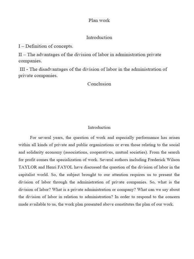 Plan Work | PDF | Division Of Labour | Labour Economics