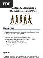 Análise Detalhada das Fases da Marcha Humana | PDF | Tempo | Pé