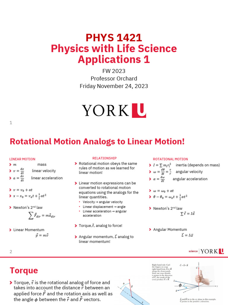 PHYS 1421-11 (Nov) - 24 | PDF | Rotation Around A Fixed Axis | Angular Momentum