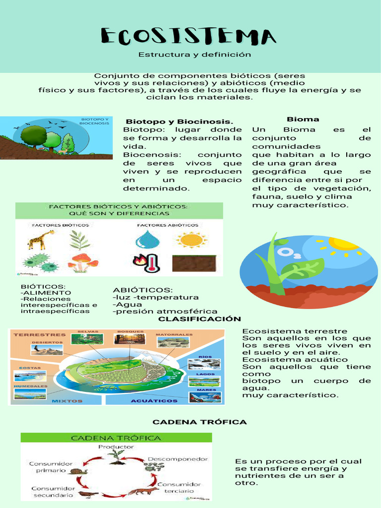 Infografía del Ecosistema Terrestre | PDF