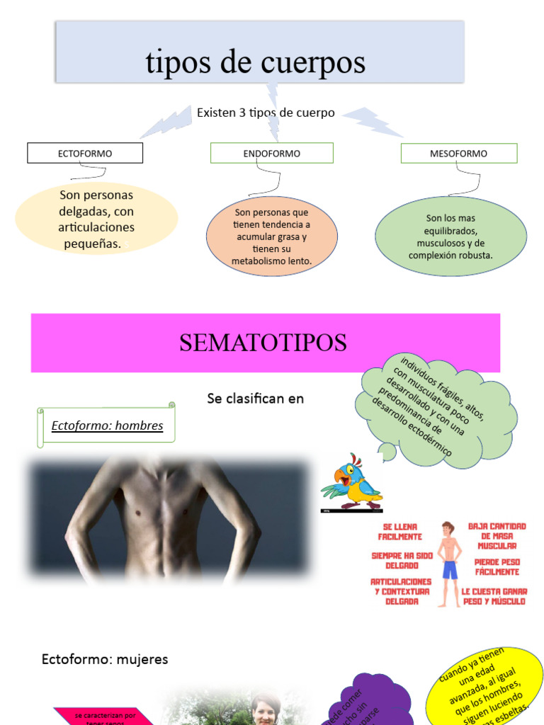 Tipos de Cuerpos: Ecto, Meso y Endo | PDF | Biofísica Molecular | Biotecnología