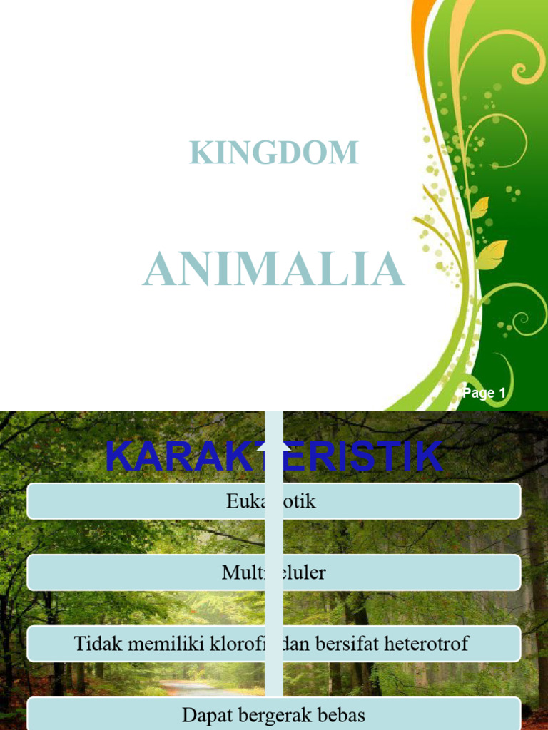 Animalia | PDF