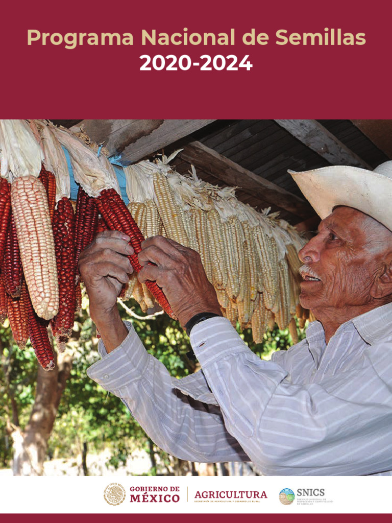 PROGRAMA Nacional de Semillas 2020-2024baja | PDF | Agricultura | México