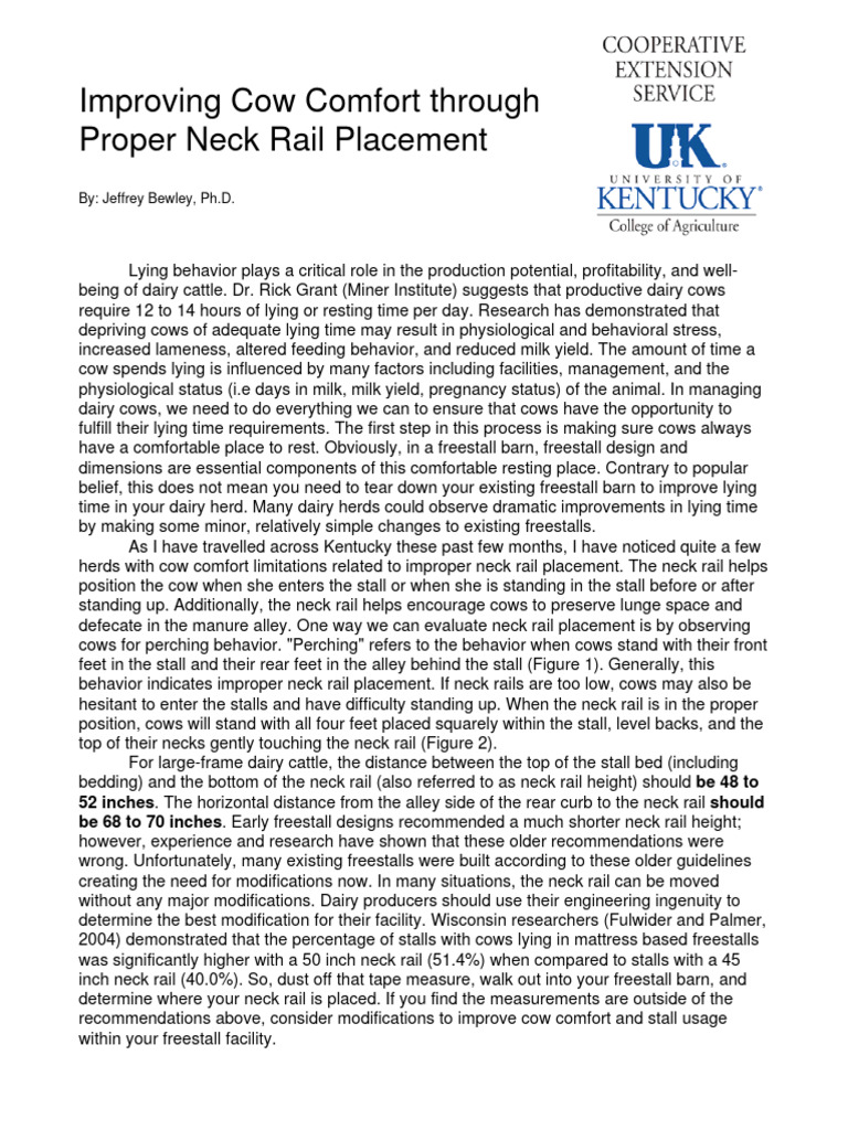 Improving Cow Comfort Through Proper Neck Rail Placement | PDF | Dairy ...