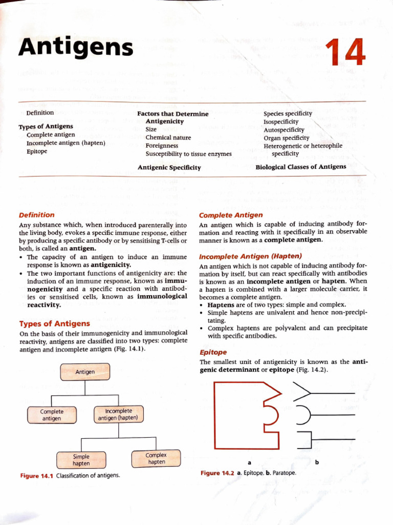 Antigens | PDF | Antigen | Immunogenicity