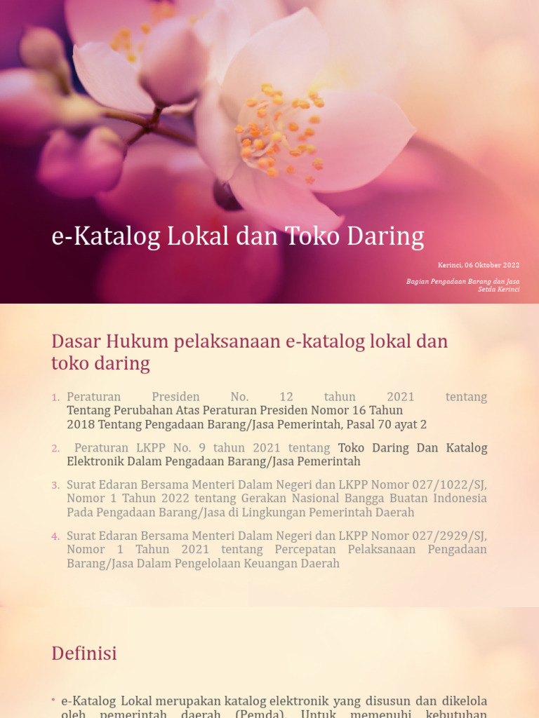 E-Katalog Lokal Dan Toko Daring | PDF