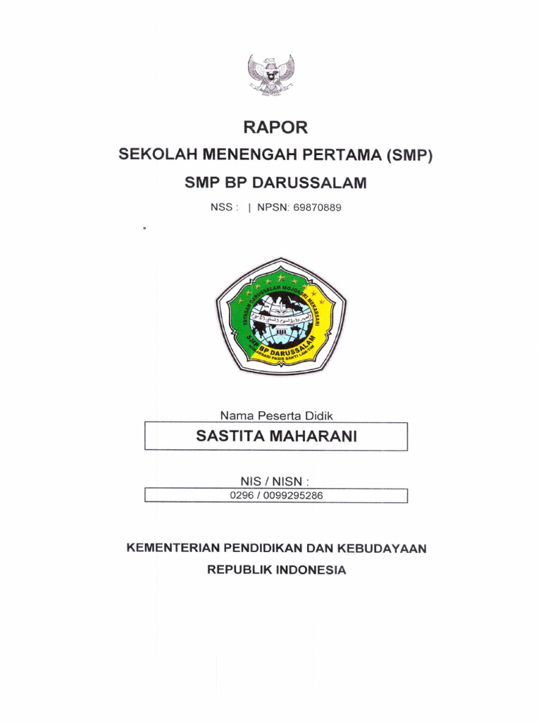 Scan Raport | PDF