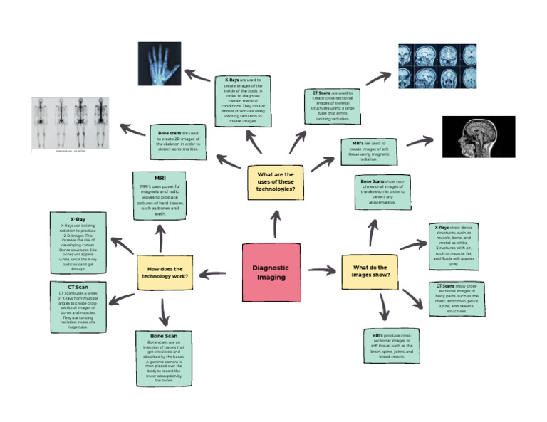 Concept Map Graphic Organizer | PDF