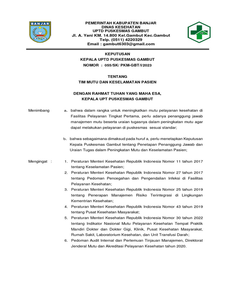 055 SK Tim Mutu Dan Keselamatan Pasien Fix 2023 | PDF