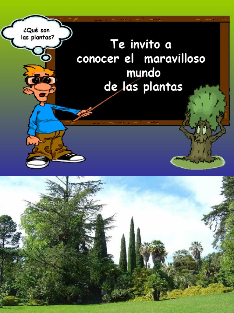 LAS PLANTAS PPT | PDF
