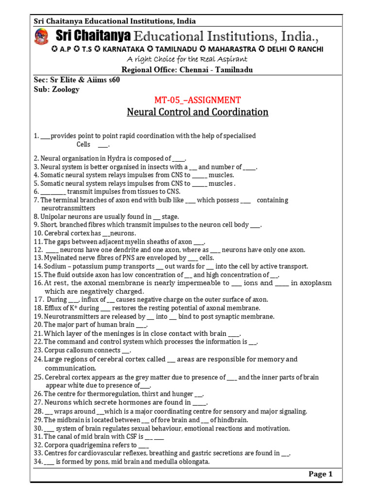 Neural Control and Coordination Assignment | PDF | Axon | Neuron