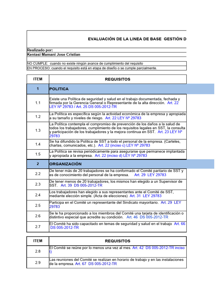 Formato de Linea Base - Terminado | PDF