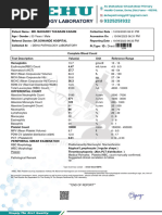 CBC Chart Template | PDF